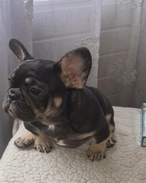 Chad This Is Why Structure Is More Inportant To Me Then Dna 🧬 We Have