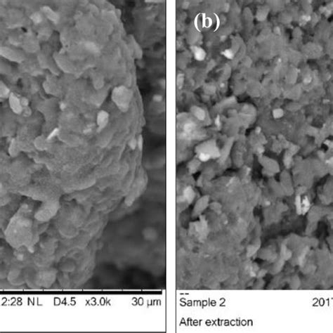 The Sem Results For Microalgae Sample A Before Lipid Extraction B