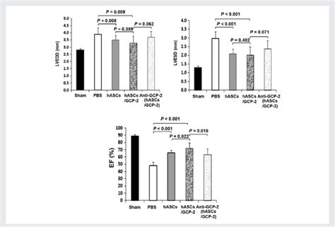 Parameters Of Lv Function And Wall Motion By Echocardiography Results