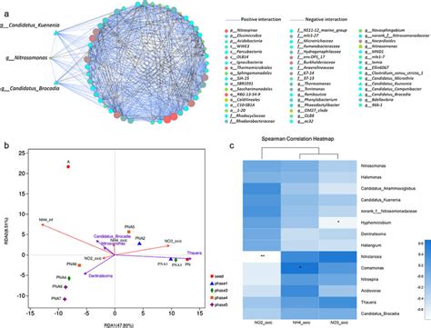 A Molecular Ecological Networks Of The Key Nitrification And Anammox
