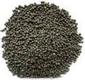 Seaweed Extract Fertilizers Seaweed Powder Latest Price