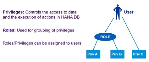 Sap Grc 101120 Hana Db Rule Set And Risk Anal Sap Community