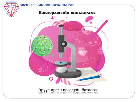 Express Diagnostic Center Экспресс Оношилгооны төв Home