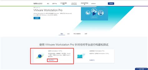 vmware workstation pro 与linux的配置 vmware for windows还是linux csdn博客