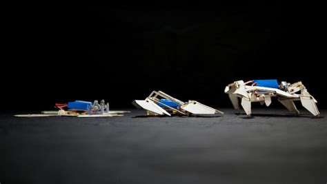 Scientists Make Cheap Fast Self Assembling Robots