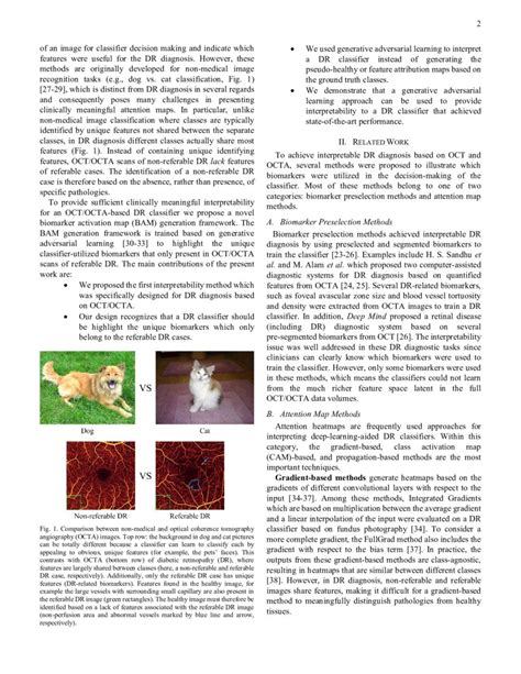 Interpretable Diabetic Retinopathy Diagnosis Based On Biomarker Activation Map Deepai