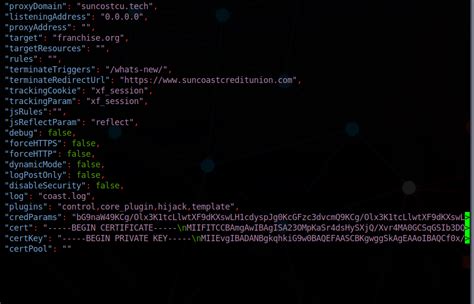 Error · Issue 302 · Drk1wi Modlishka · Github