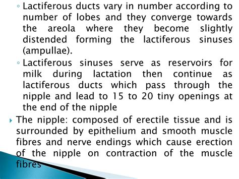 Anatomy Of The Breast And Physiology Of Lactationppt