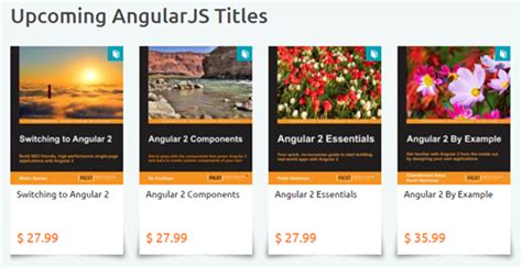 Laurent Duveau Angular Week At Packt Publishing