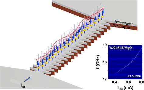 Robust Mutual Synchronization In Long Spin Hall Nano Oscillator Chains