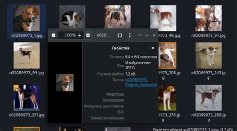 Python I Have A Problem With Train My Gan Model I Dont Know How To