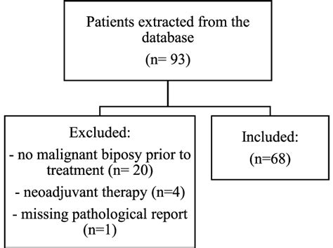 Flowchart Patient Selection Patient Selection And Patients Excluded
