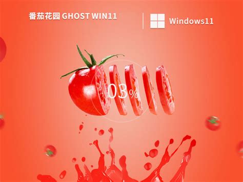 番茄花园win11大神纯净版下载 番茄花园win11大神纯净装机版v2023免费下载 大地系统
