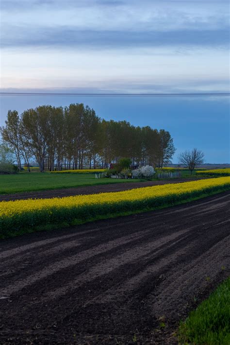 Free Picture Empty Plain Agricultural Flat Field