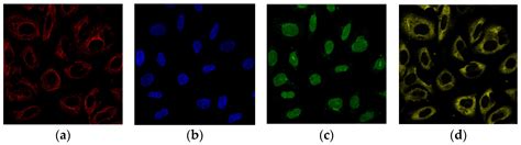 Sustainability Free Full Text An Artificial Intelligence Based Stacked Ensemble Approach For