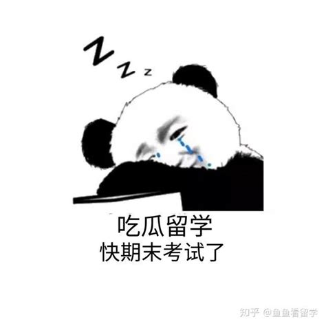 英国留学生挂科多转学难申诉无望本科没毕业出路在何方 知乎
