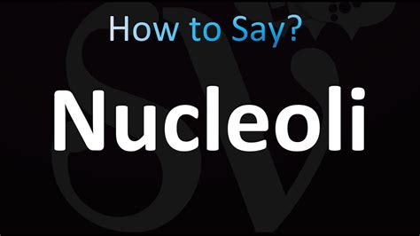 How To Pronounce Nucleoli Correctly Youtube