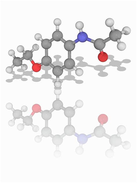 Phenacetin Structure