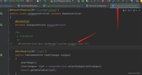 若依框架 权限已开放，但访问时仍显示“msg“ “获取用户信息异常“ “code“ 401 的解决办法javaweixin