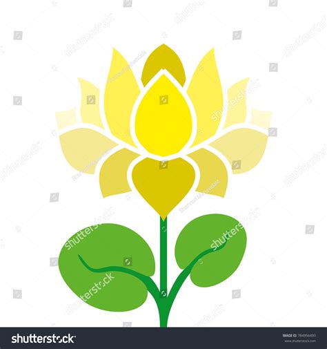 Lotus National Flower India Stock Illustration 784956493