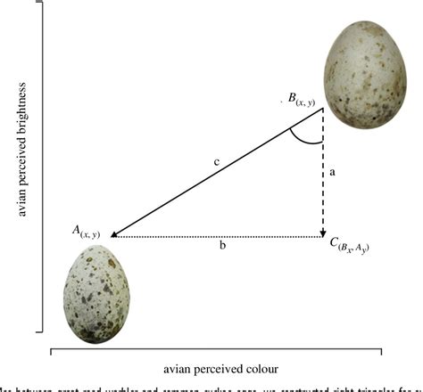 Figure 1 From Eggshell Colour Differences In A Classic Example Of Coevolved Eggshell Mimicry