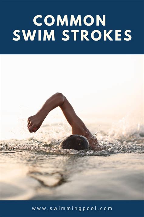Common Swim Strokes Swimming Strokes Swimming