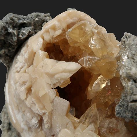 Calcite Fluorescent In Fossil Clam Shell Rucks Pit Okeechobee Co Florida USA