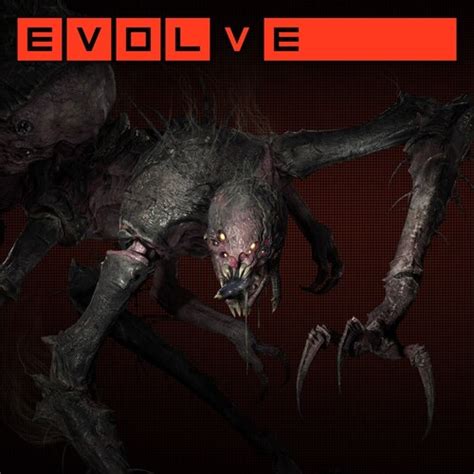 Evolve Gorgon Deku Deals