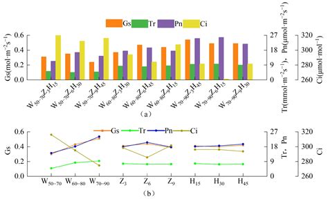 Sustainability Free Full Text The Effect Of Waterzeolite Amount
