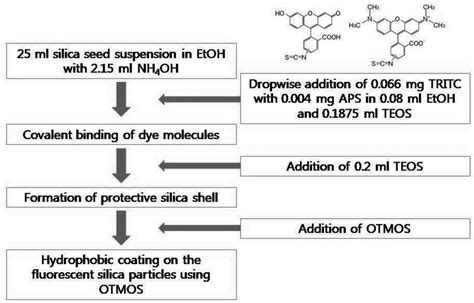 Synthesis Procedure Of Dye Doped Silica Microspheres Download