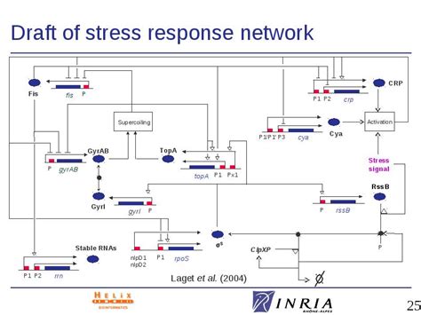 1 Introduction Modeling And Simulation Of Genetic Regulatory Networks