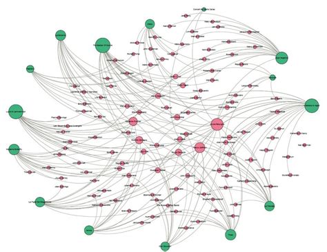 Using Gephi For Data Visualization Digital Scholarship