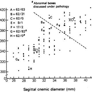 And Tables 15 And 16 Summarize Tibial Metrical Data And Sex Differences Download Scientific