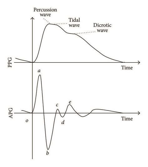 Ppg Apg And The Systolic Anterior Components Download Scientific