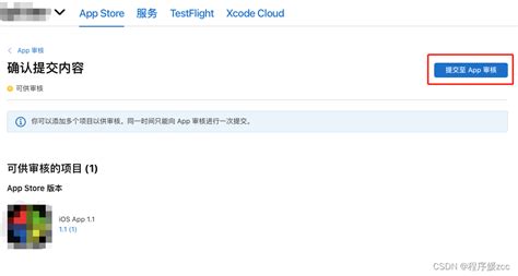 Ios开发app，在app Store上架的app更新提交过程上传到appstore后如何更新 Csdn博客