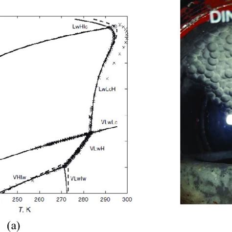 Co2 Water Hydrate Phase Diagram 4 A Hydrate In The Reactor In A