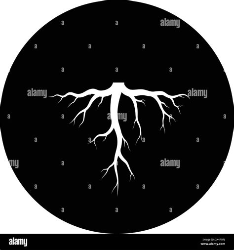 Tree Root Icon Template Design Illustration Stock Vector Image And Art