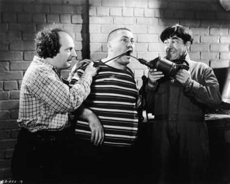 Whatever Happened To Curly Howard