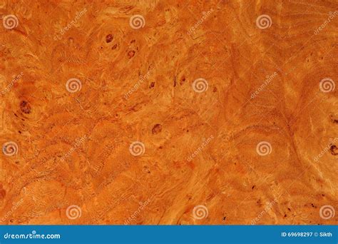 Root Texture Background Stock Image 77759107