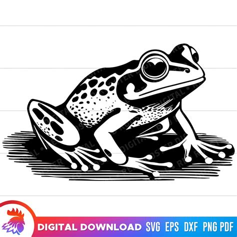 Frog Svg Frog Svg For Cricut Frog Clipart Frog Cut File Frog Png