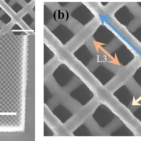 a scanning electron micrograph showing top view of full array of