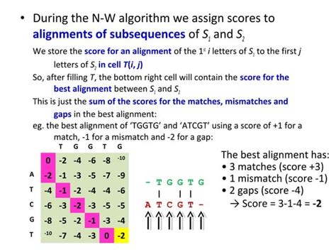 The Needleman Wunsch Algorithm Ppt