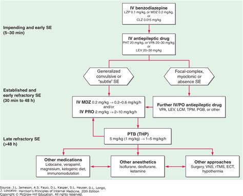 Chart Of Common Seizure Types Myoclonic Seizure
