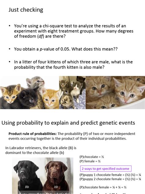Sex Chromosomes And Sex Determination W25 Pdf Sex Zygosity