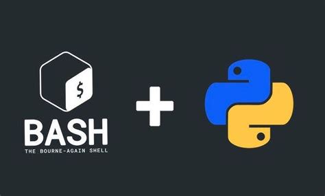 Python Vs Bash Understanding Conditional Logic Abdirahman Ismail