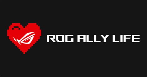 Rog Ally Accessories