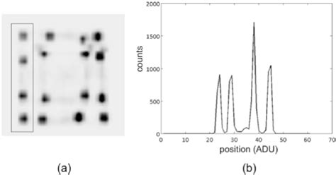 A Flood Histogram Of The Array Of 4 × 4 Lyso Crystals Coupled To A Flood Histogram Of The Array Of 4 × 4 Lyso Crystals Coupled To