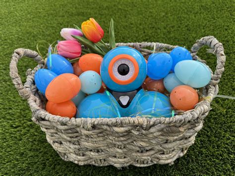 Eggs Cellent Fun With Dash Robot