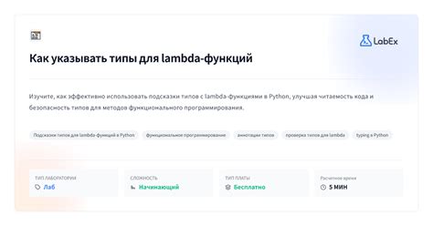 Как указывать типы для Lambda функций Labex