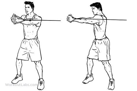 Cable Core Rotation Illustrated Exercise Guide Workoutlabs
